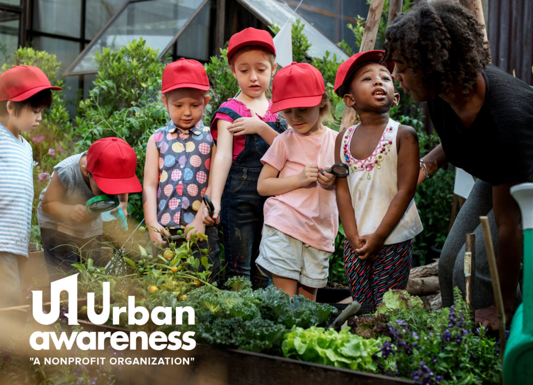 3K Educational Garden Grant - Urban Awareness USA
