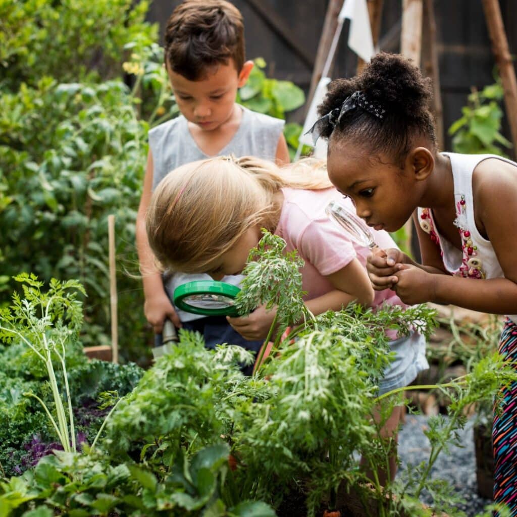 $150K Youth Environment Education Grant - Urban Awareness USA